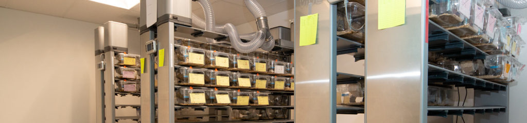 Avastus Preclinical Services: Vivarium Services and Space